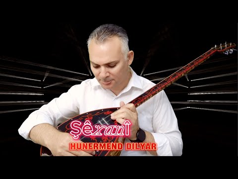 Hunermend Dilyar Şêxanî الفنان دليار شيخاني على البزق