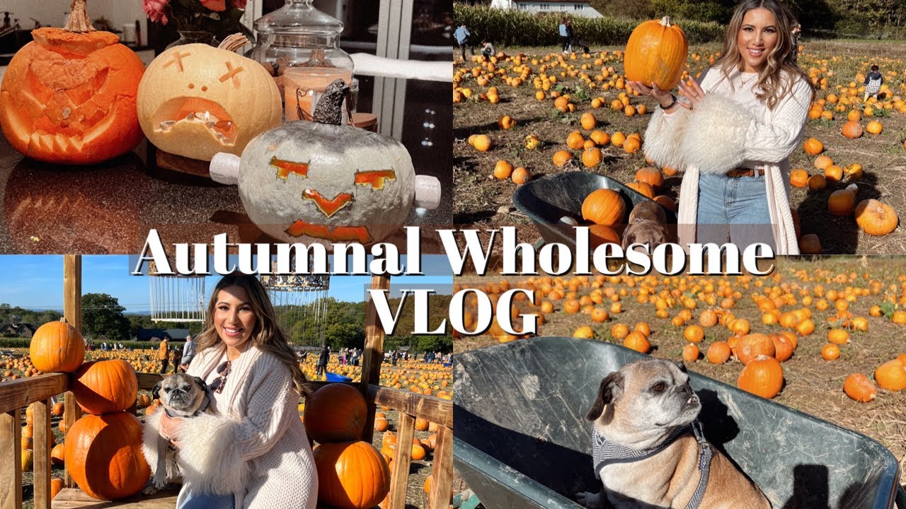 COSY AUTUMN VLOG | PUMPKIN PICKING, BAKING & SUPERGOOP EVENT | Monalisa ...