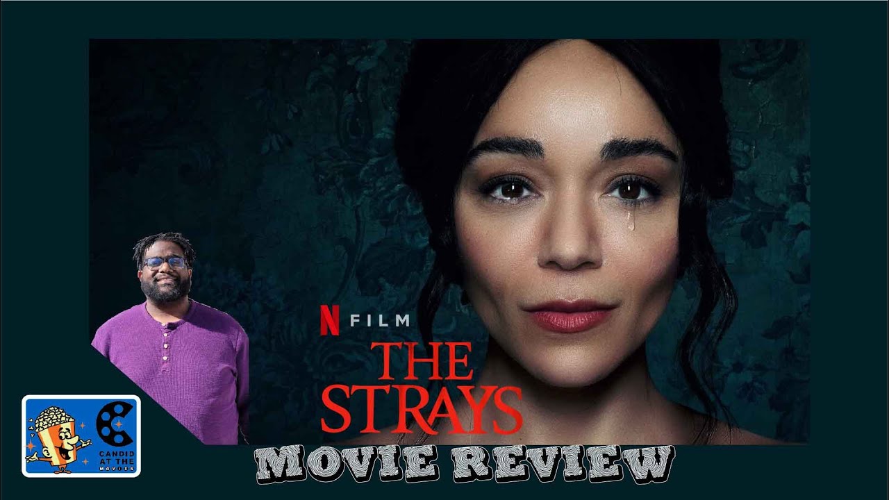 The Strays (2023) Movie Review "Is It Good or Is It Bad?" - YouTube