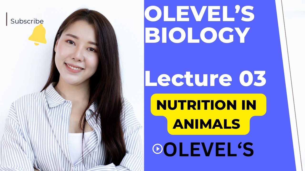 Nutrition in Animals | Lecture 03 | Deficiency of Protein and Vitamins ...