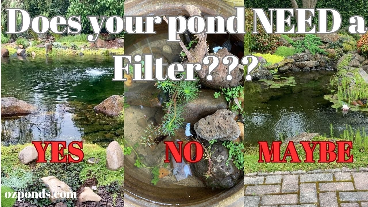 Do you even need a filter for your pond? - YouTube