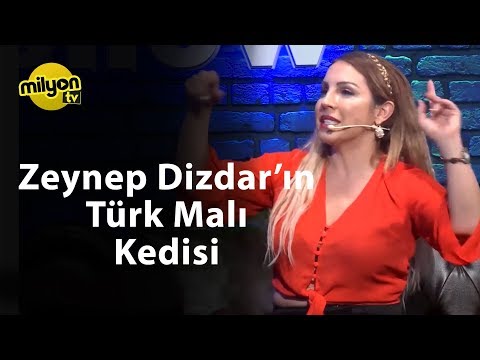 Zeynep Dizdar'ın Türk Malı Kedisi - a®️ıza show
