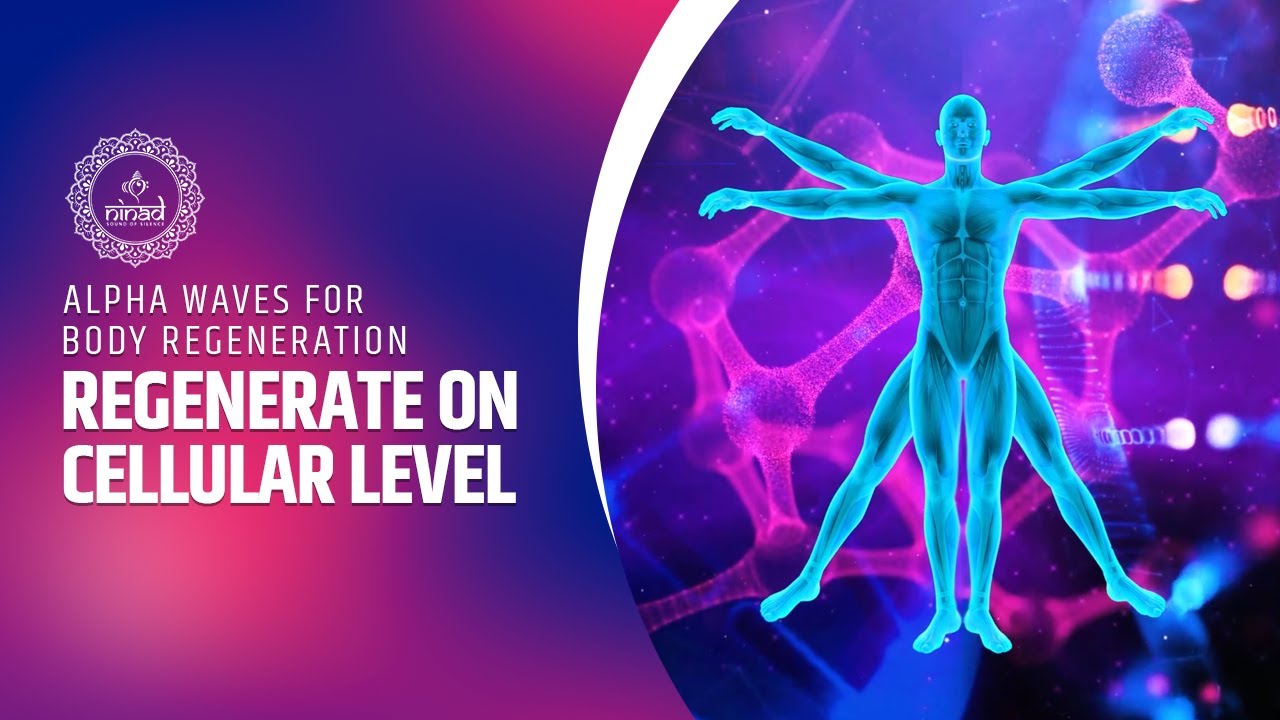 Regenerate on a Cellular Level for Complete Body Healing | Alpha Waves ...