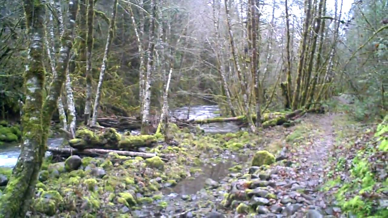 Deception Creek in Oakridge, Oregon - YouTube