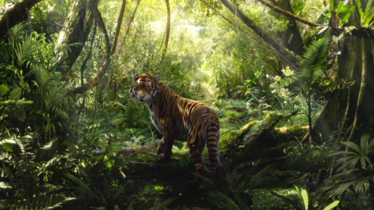 Help WWF-Malaysia Save Our Tigers - YouTube