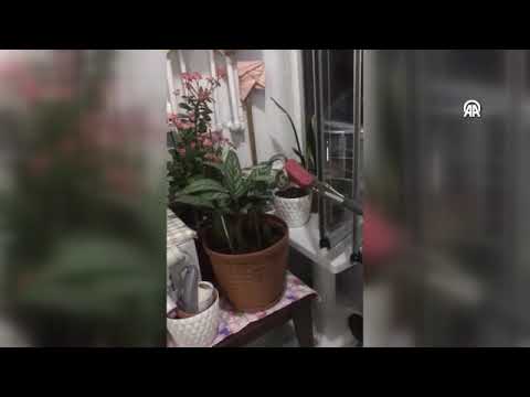 Ordu'da Piknik Yapan Ailenin Çantasına Giren Yılanı İtfaiye Ekipleri Çıkarttı
