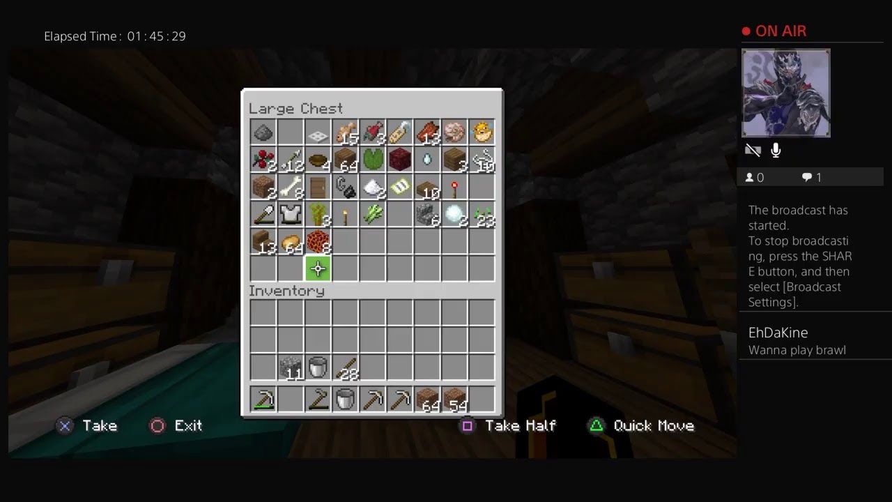 Useless Minecraft Stream - YouTube