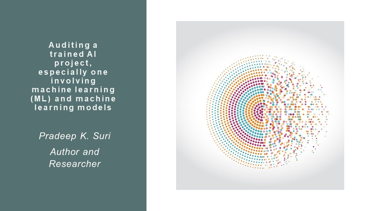 Auditing a trained AI project, especially one involving machine ...