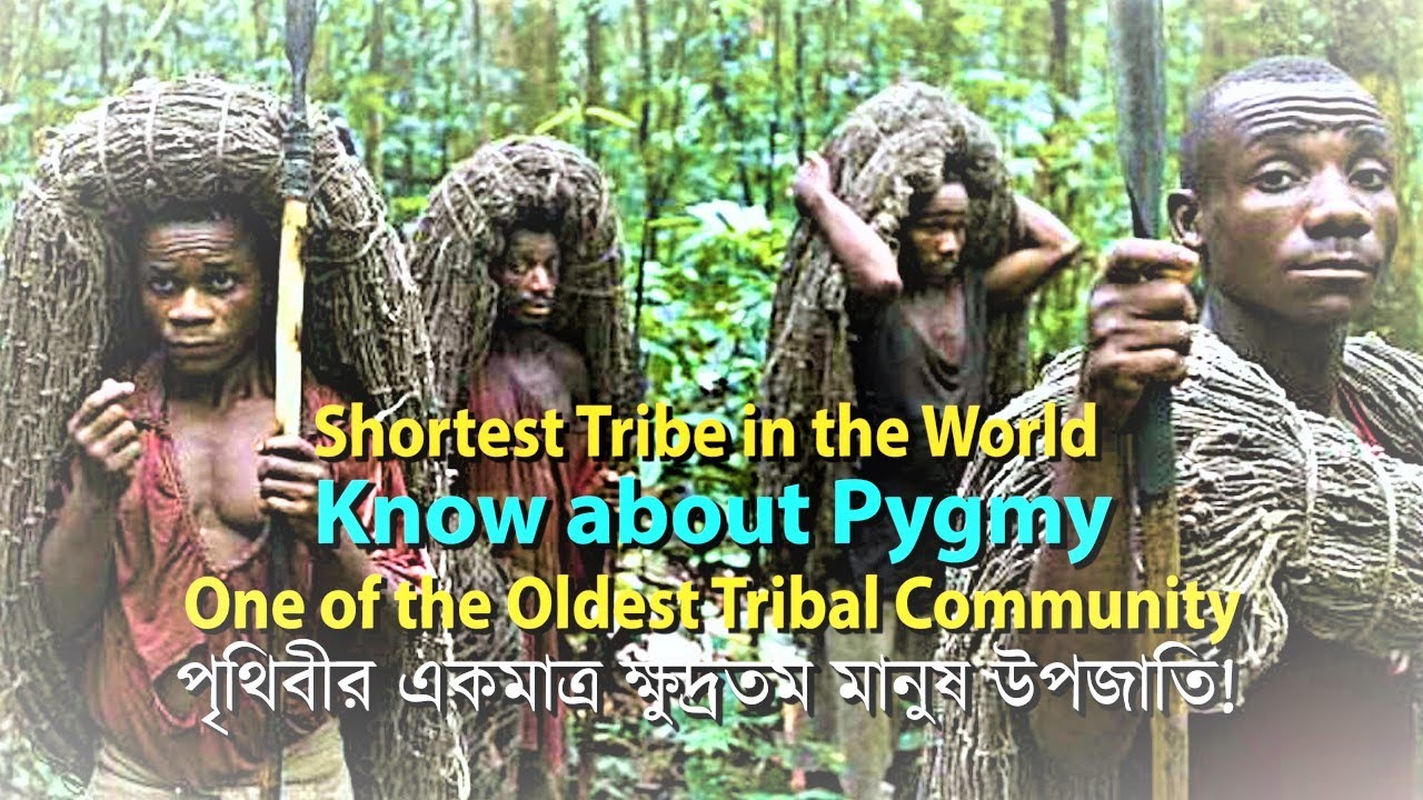 Pygmies - Shortest Tribe in the World | পৃথিবীর ক্ষুদ্রতম মানুষ কোথায় ...