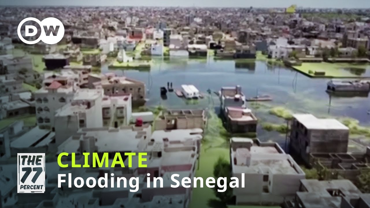 Senegal floods bring respite for West African herders - YouTube