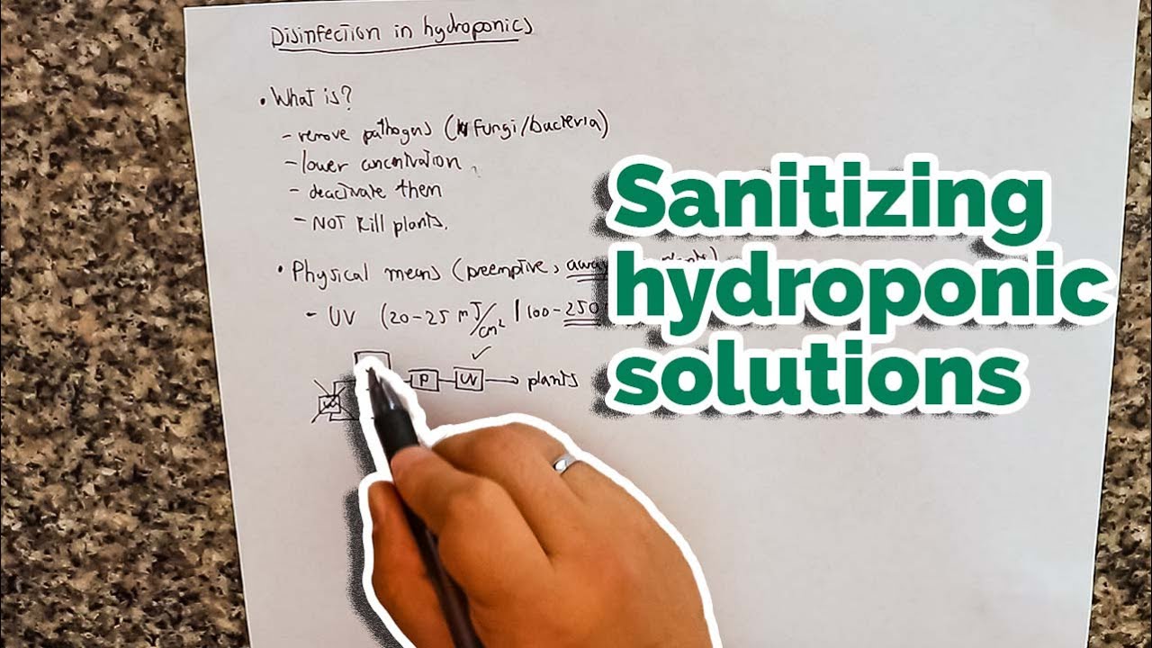 How to sanitize a hydroponic nutrient solution - YouTube