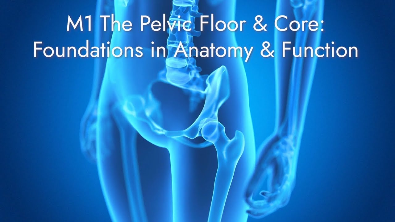 M1 The Pelvic Floor & Core : Foundations in Anatomy & Function - YouTube