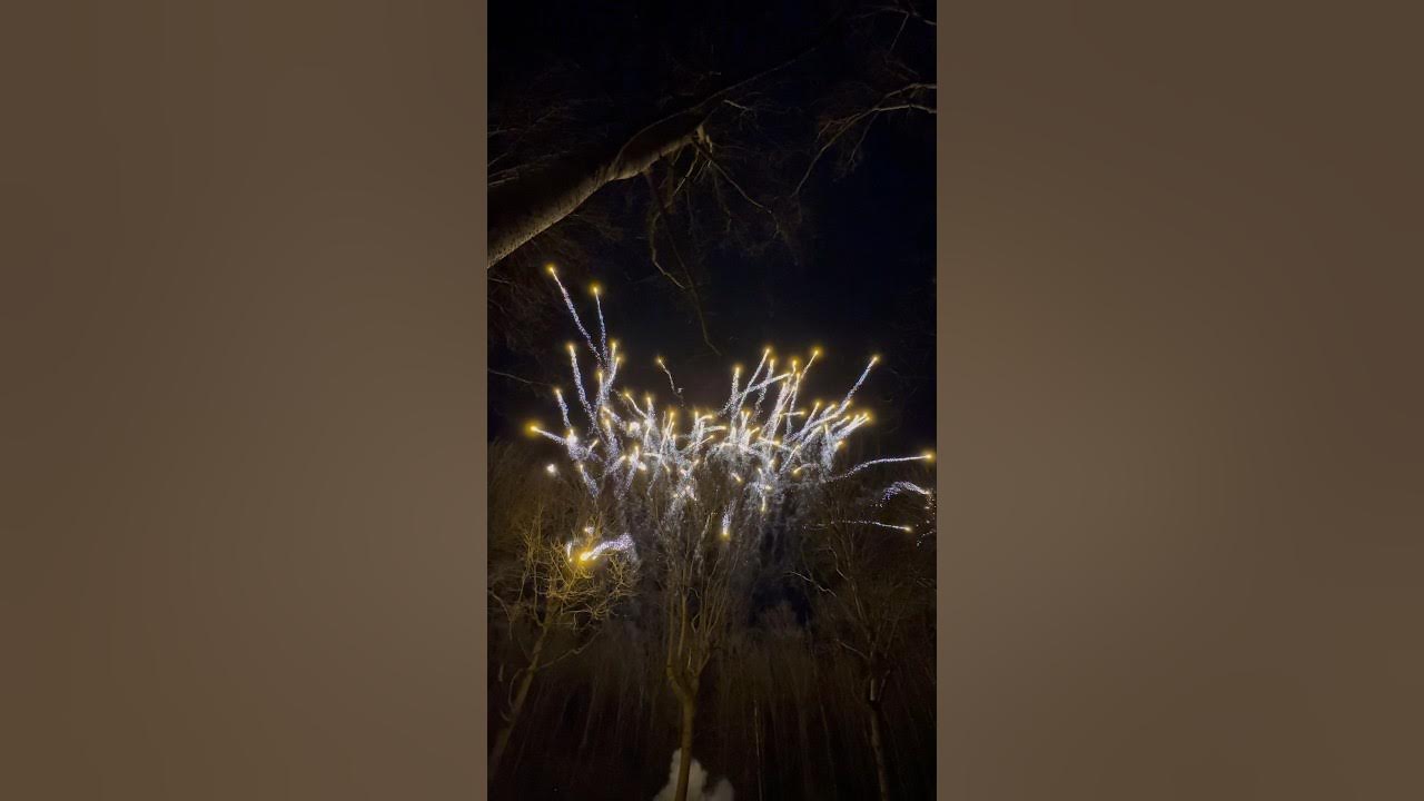 Funke Rising Python Yellow #feuerwerk #silvester #vuurwerk #fajerwerki ...