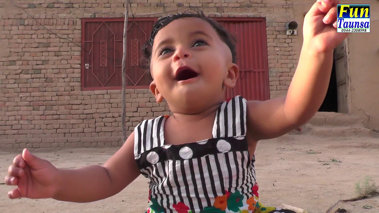 Funny Baby Reactions - Baby Reaction Videos - YouTube