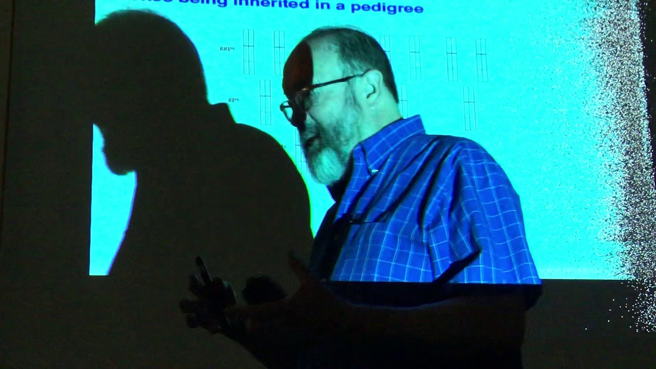 Your ancestors -- both in the short-term and in the long term by Joe ...