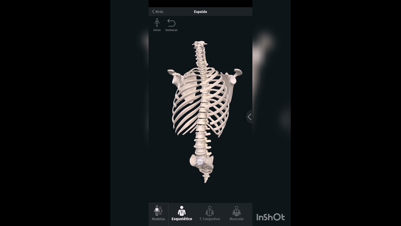 Complete Anatomy from Elsevier - YouTube