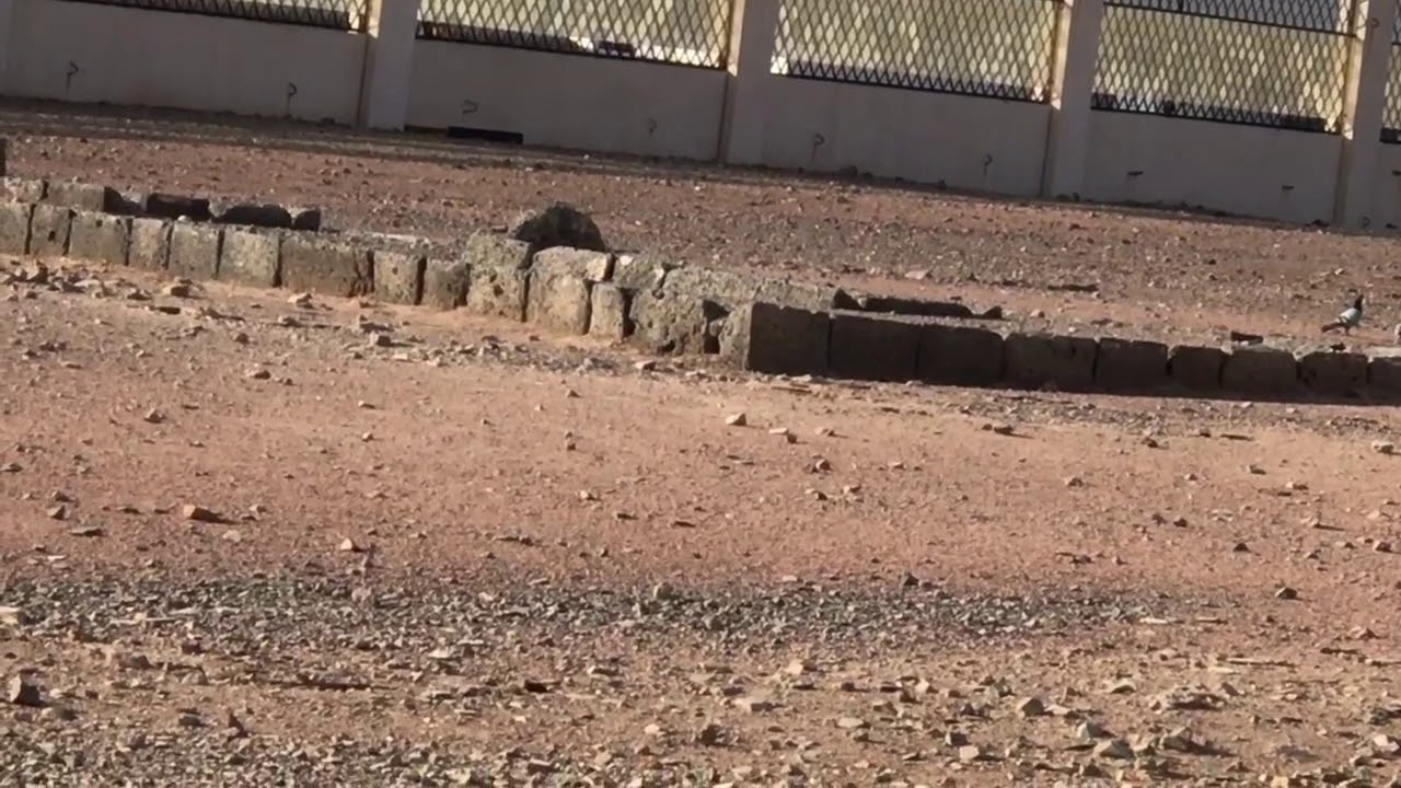 Qabar Mubarak Hazrat Hamza at Uhad, Madina HD - YouTube