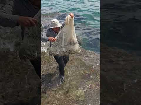 serpme ile balık tutmak