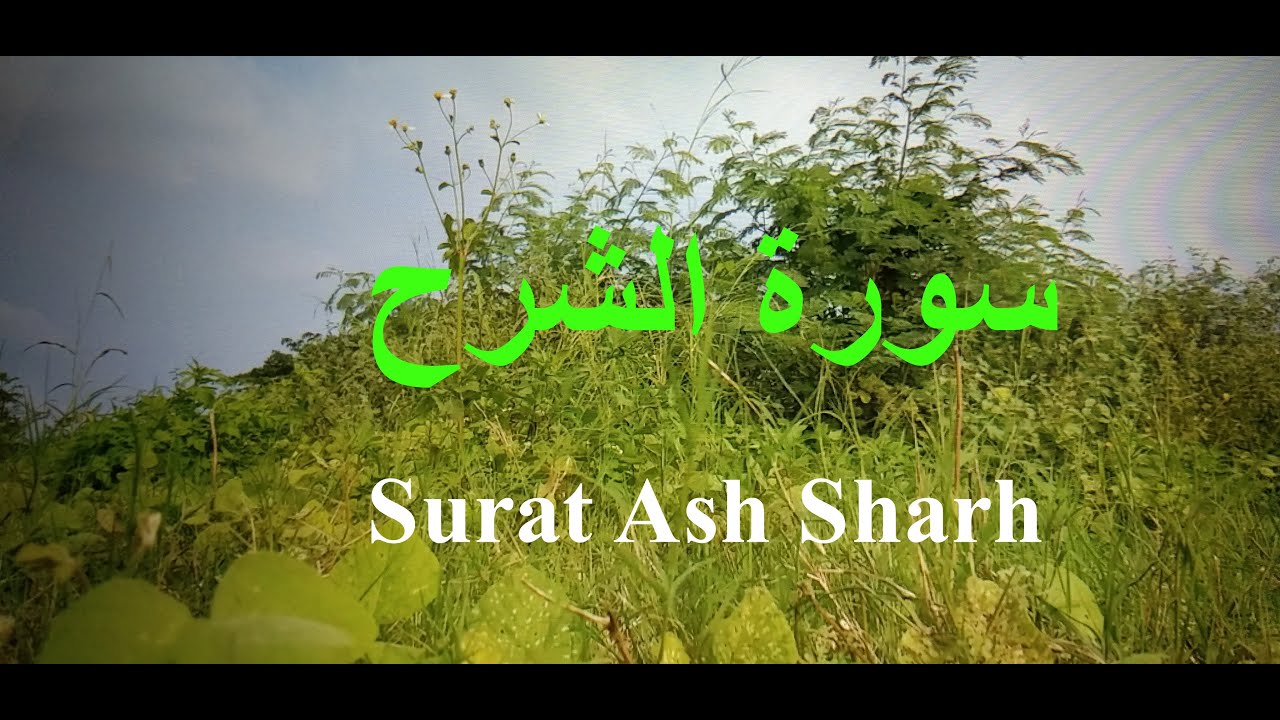 Surah Ash sharh , beautiful recitation of Holy Quran - YouTube