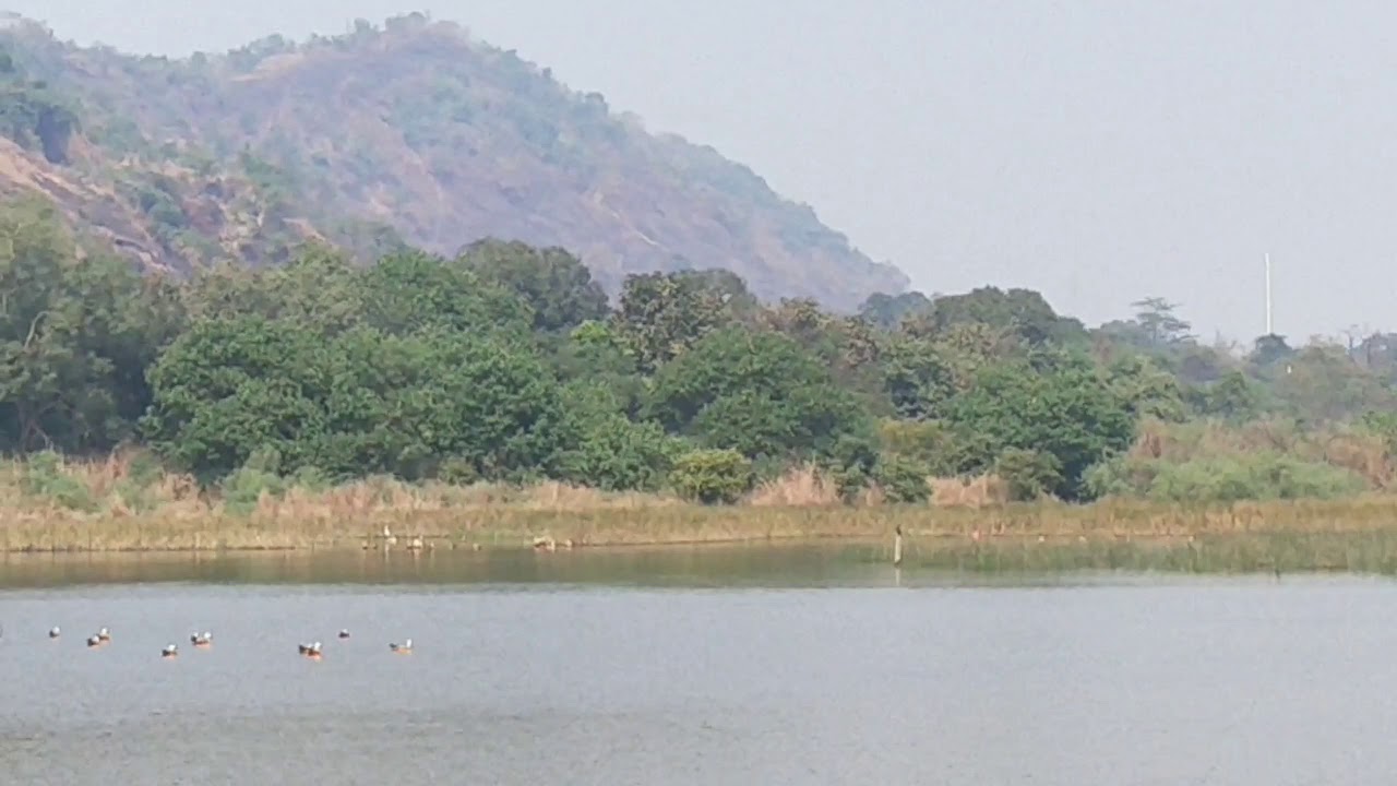 Birds | Jasai Khadi | Uran - YouTube