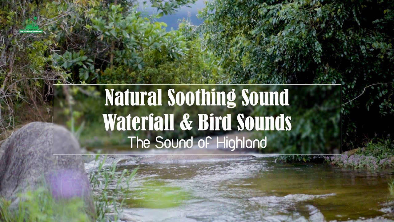 Natural Soothing Sound of a Waterfall & Bird Sounds | The Sound of ...