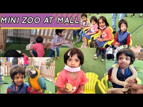 MINI ZOO || zoo at mall || zoo at oasis mall || petting zoo || - YouTube