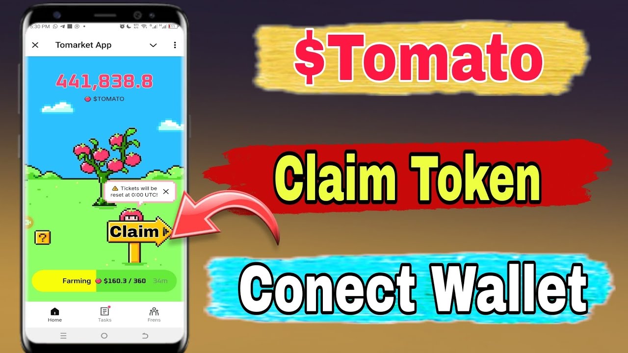 Tomato coin || How to claim token in tomarket || Connect wallet in ...