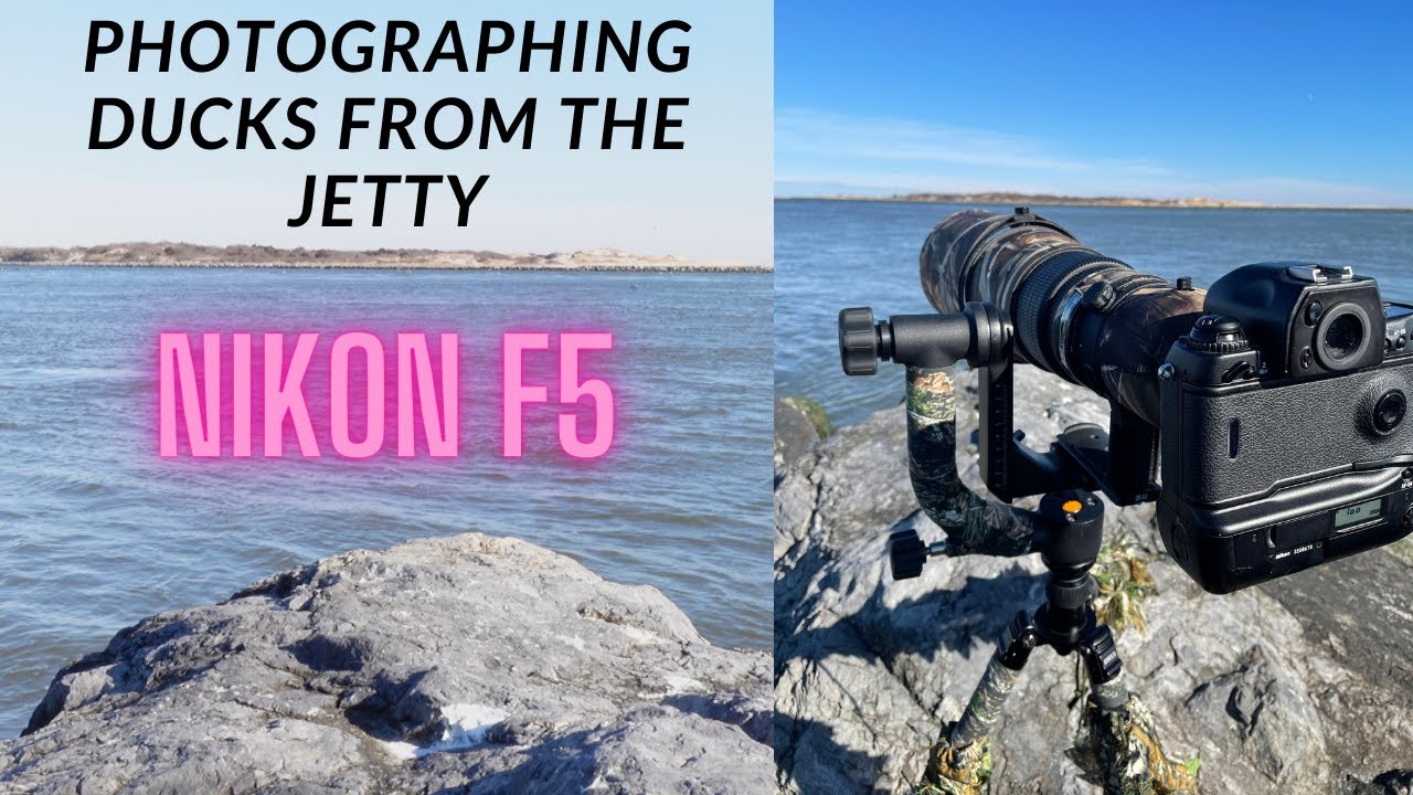 Photographing ducks with film and digital - YouTube