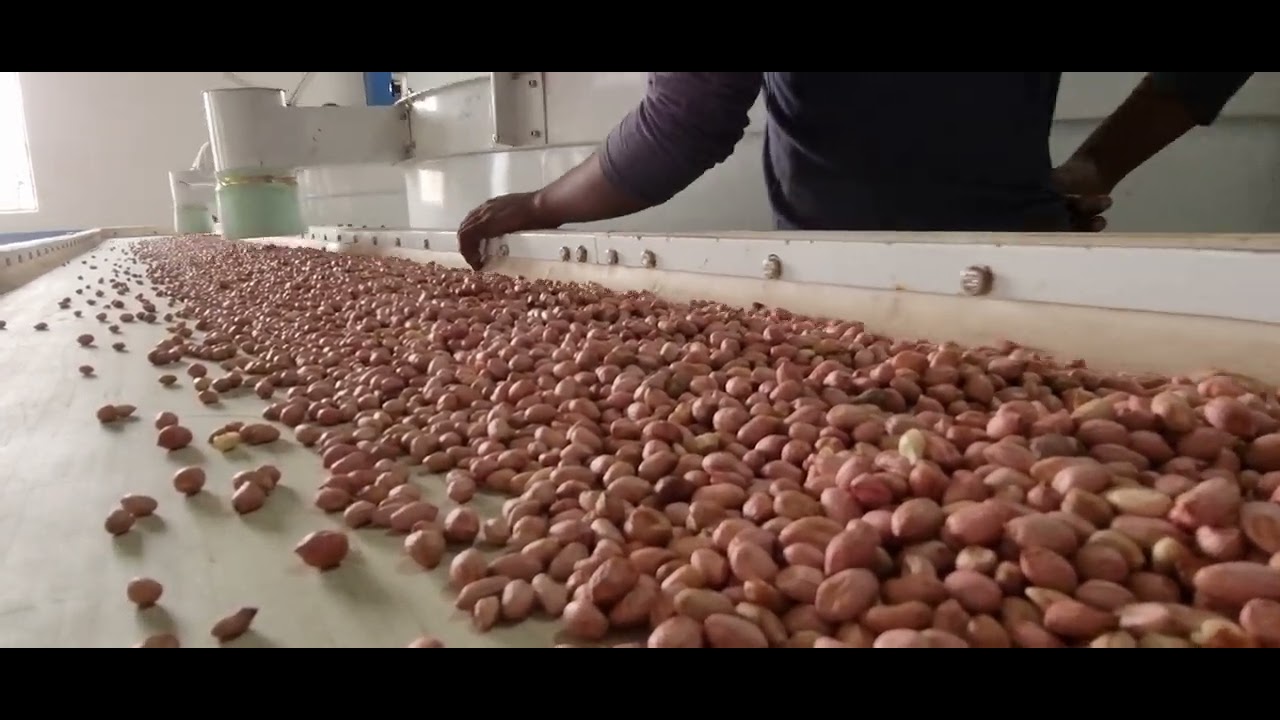world most powerful Technology groundnut processing plant med by ...