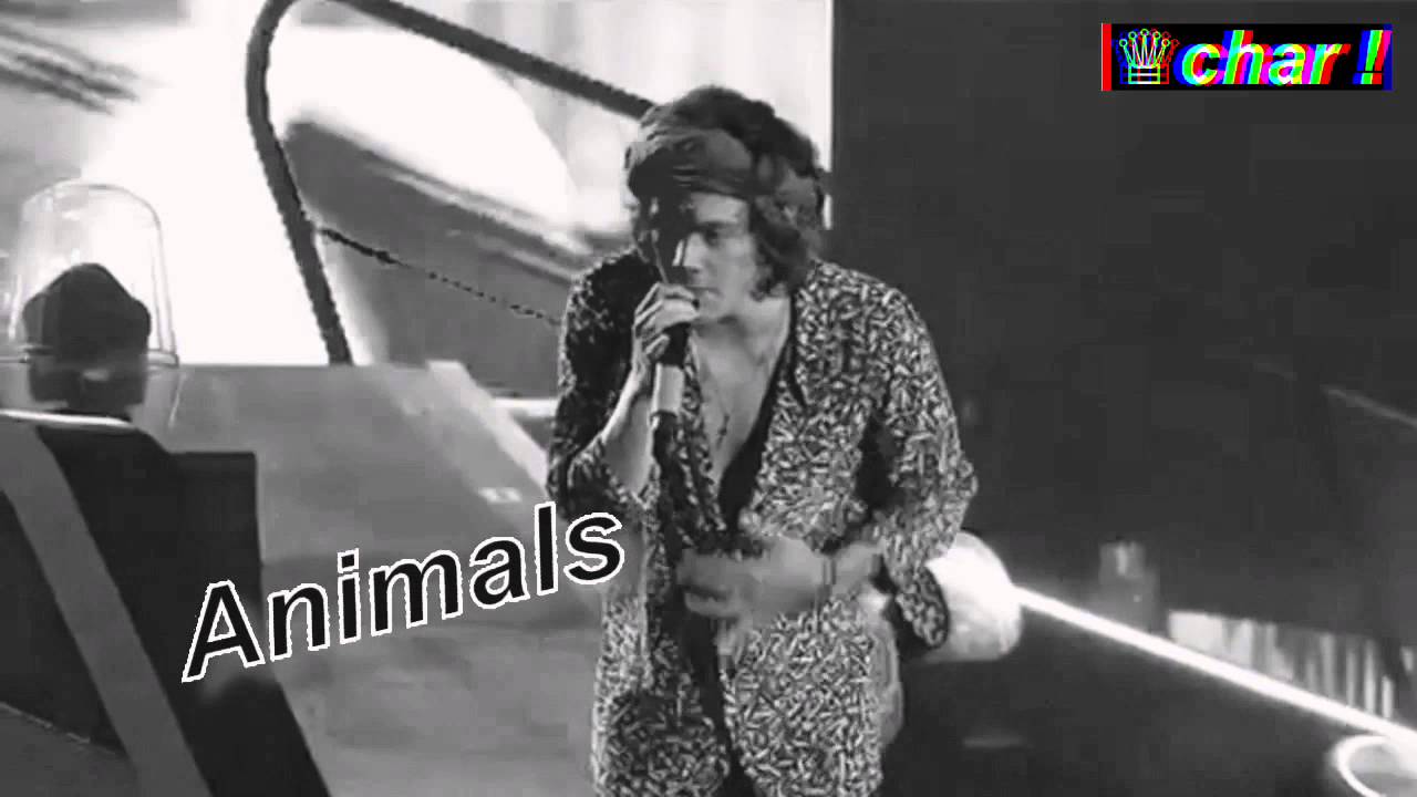 Animals // Harry Styles - YouTube