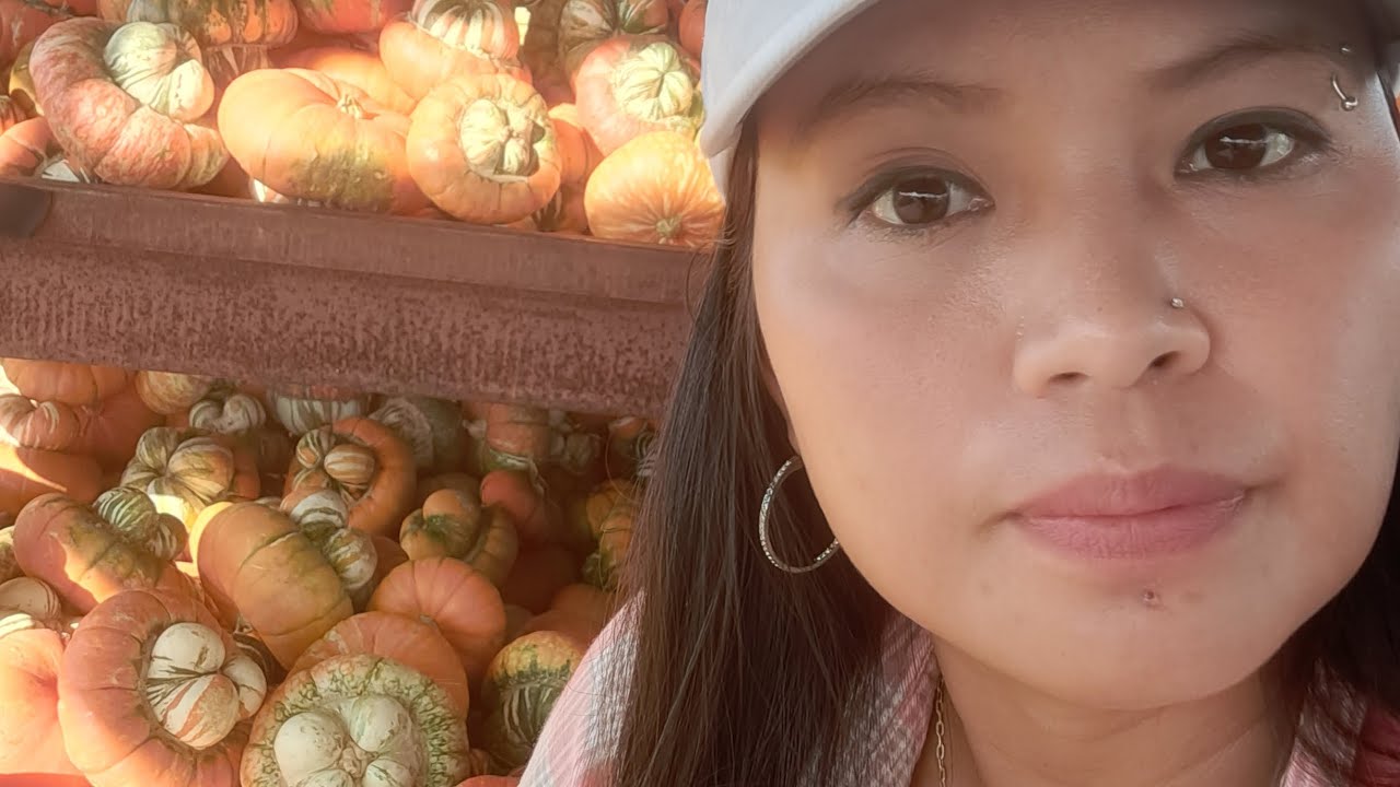 So cute subra ni mingming biscuits #adorable #kitten#cutefy - YouTube