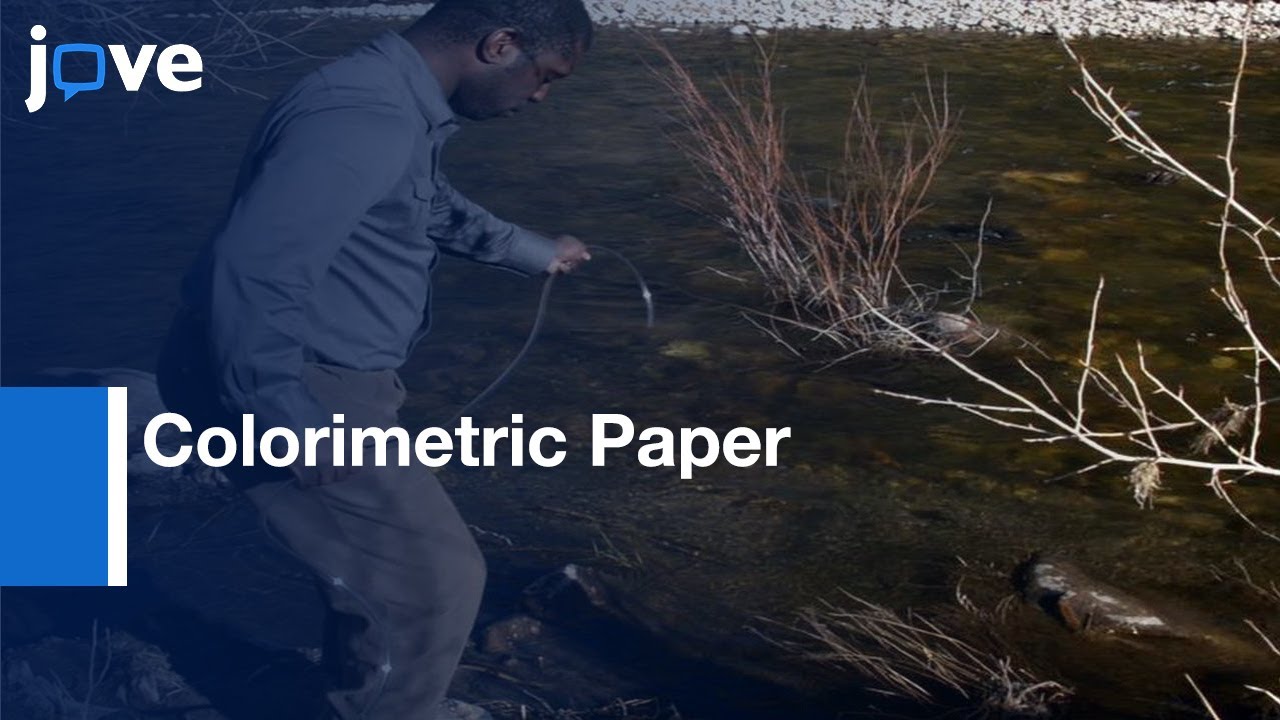 Colorimetric Paper Detection of Microbes from Agricultural Water ...