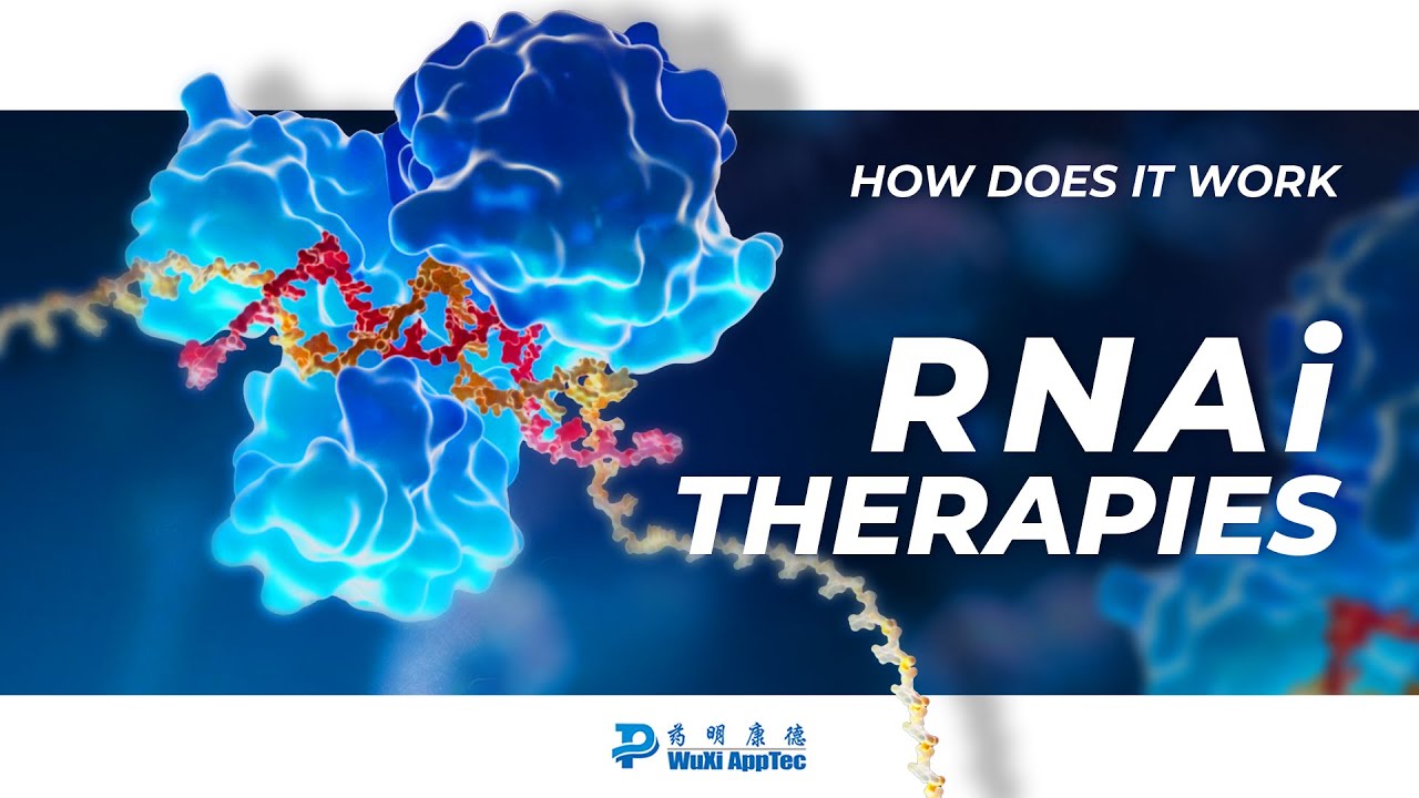 How Does It Work? | RNAi - YouTube