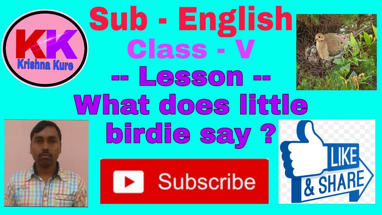 What Does Little Birdie Say question Answer Class 5 Krishna Kure what-does-little-birdie-say-question-answer-class-5-krishna-kure