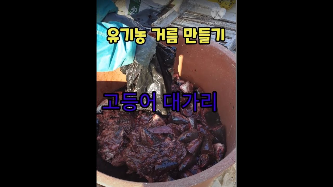 음식물 찌꺼기로 천연거름 퇴비 만들기 천연거름만들기 음식물찌꺼기 천연퇴비 발효퇴비만들기 천연비료만들기 Youtube