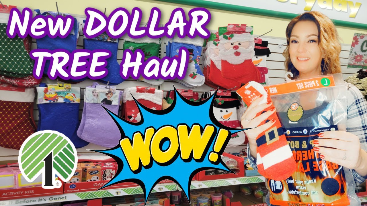 New DOLLAR TREE Haul!! So many GREAT New Items! - YouTube