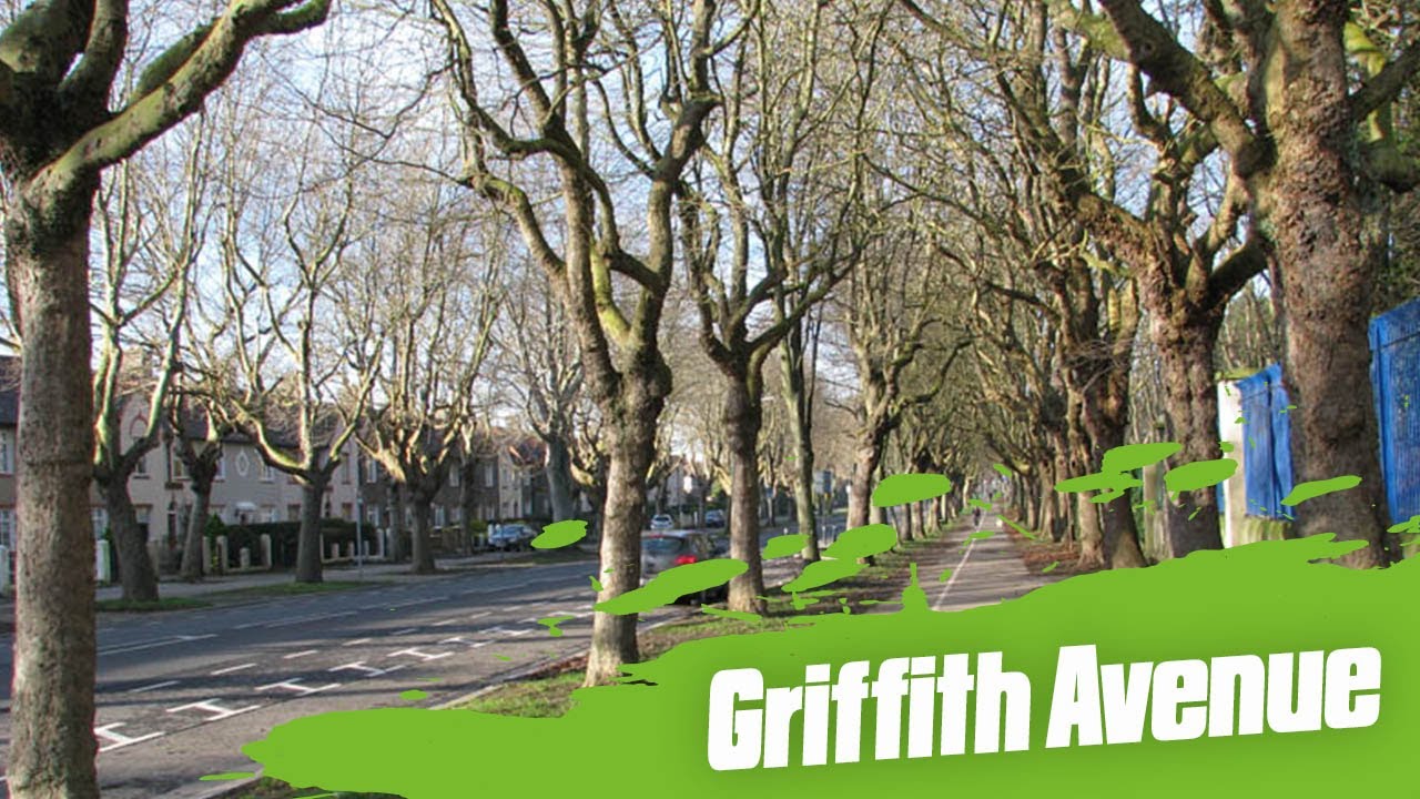 Griffith Avenue Dublin - The longest Tree Lined Residential Avenue in ...