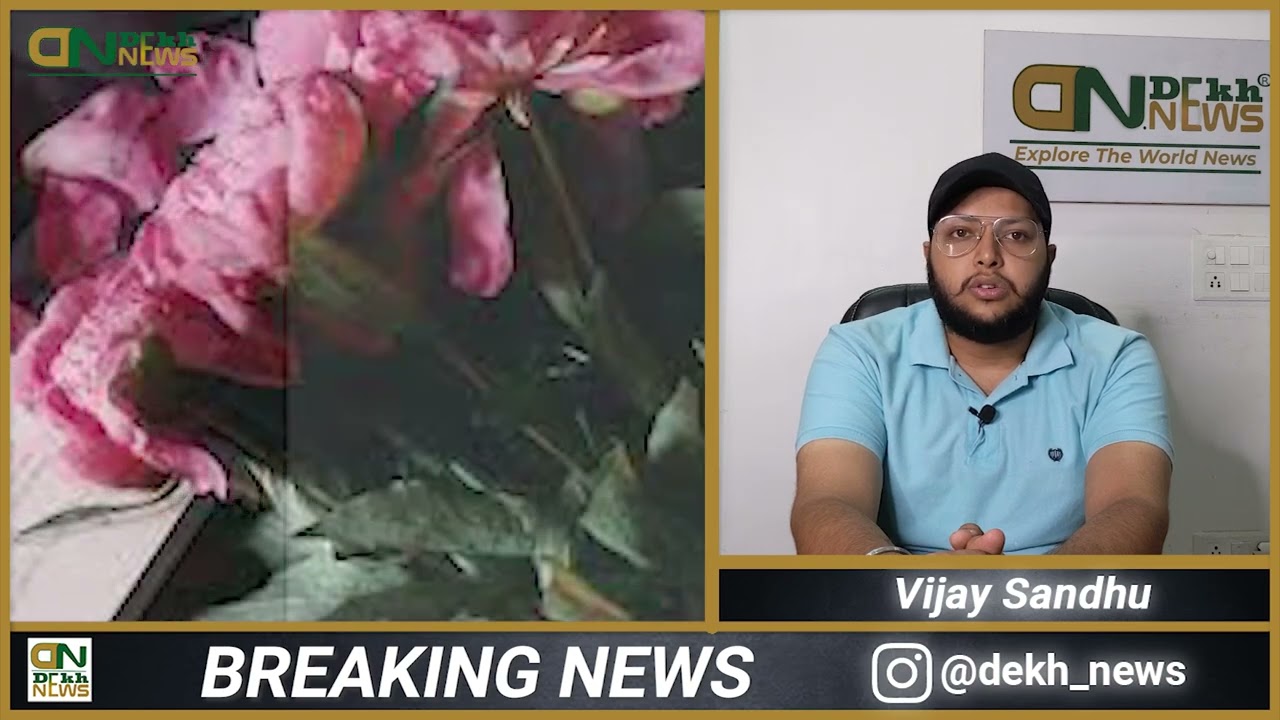 Lifebyjen Dead Or Alive? Youtuber And Tiktoker Life By Jen Cause Of ...