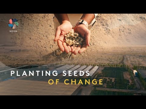 Planting Seeds of Change - YouTube