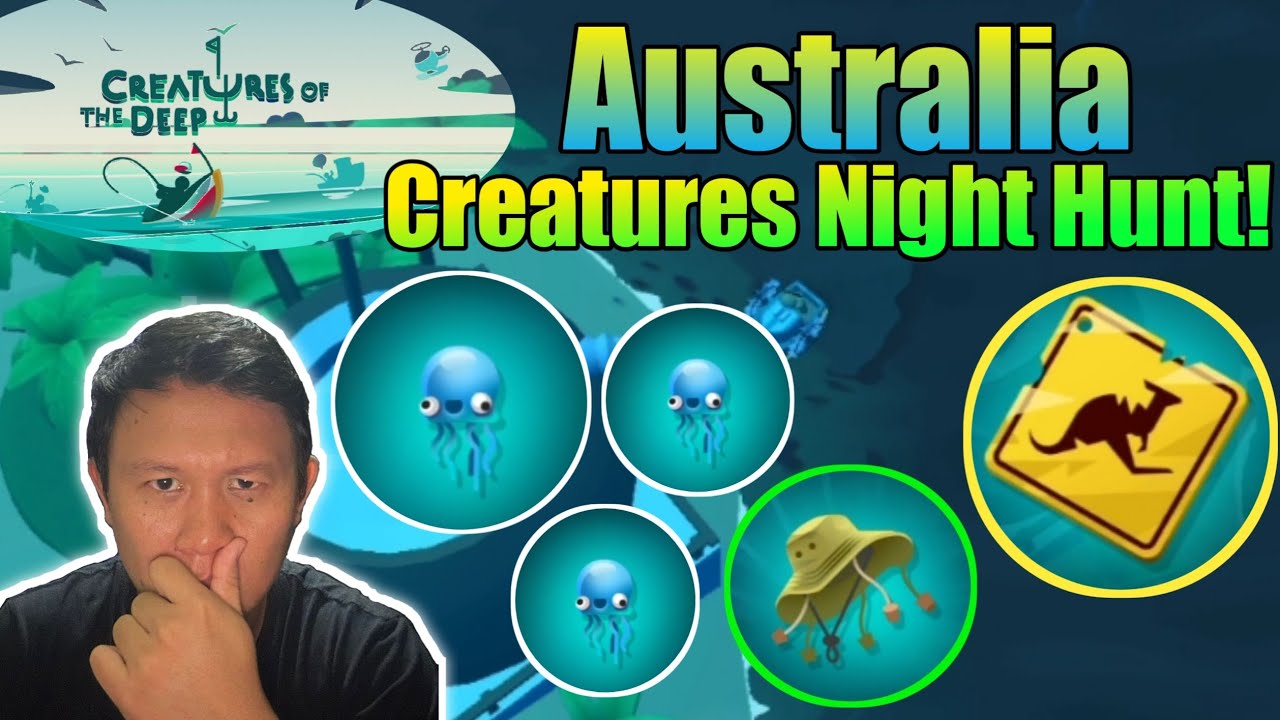 Box Jelly Fish Creatures of the Deep Australia - How to Catch Ketika ...
