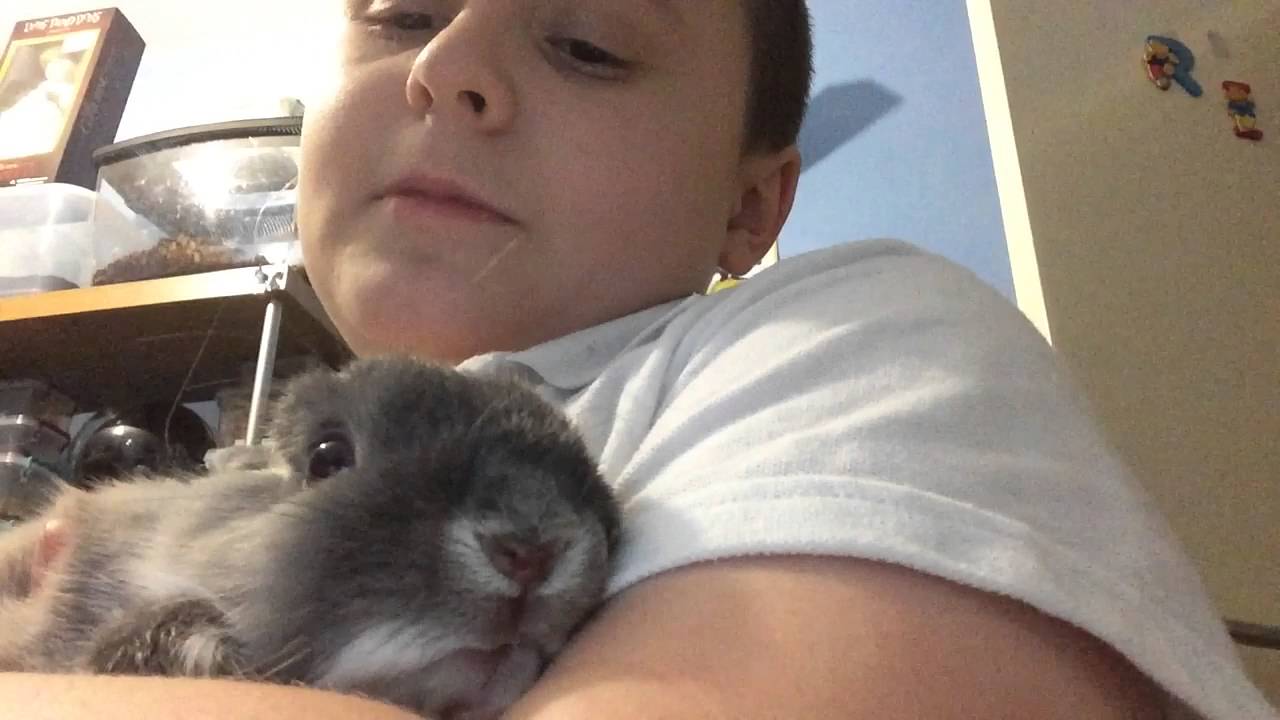 My New Pet Bunny Rabbit - YouTube