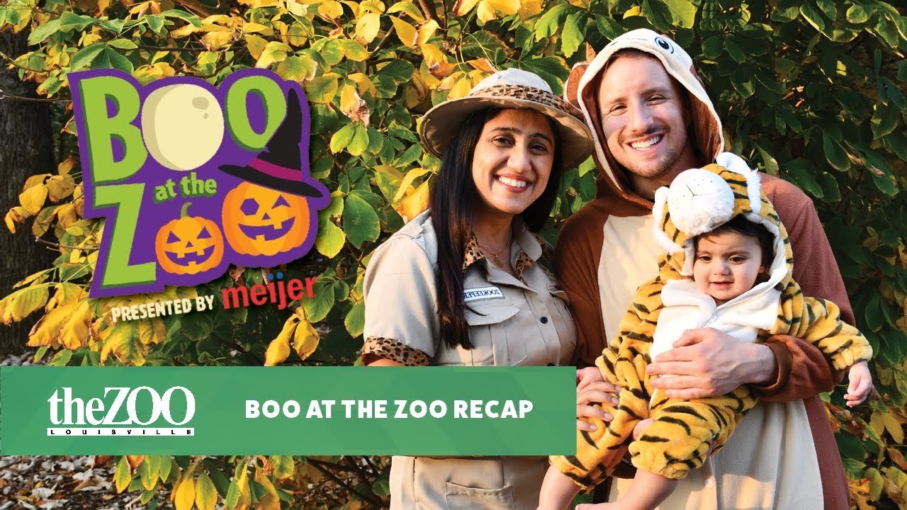 2023 Boo at the Zoo Recap - YouTube