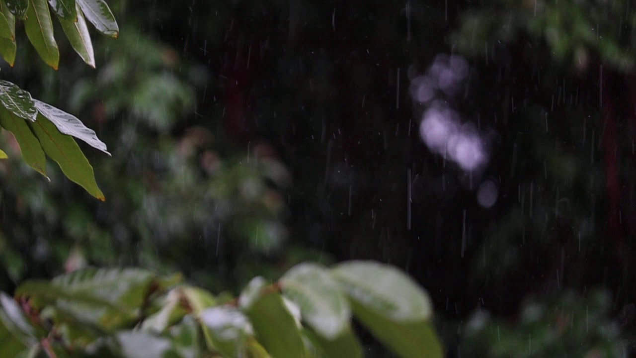 Slow motion - The Rain 07 - YouTube