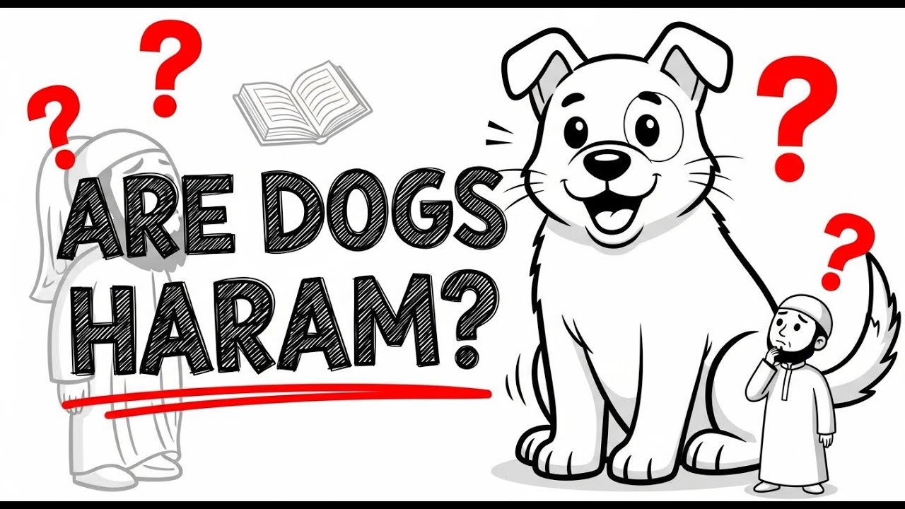 Are Dogs Haram in Islam? | Islamic Q&A Explained - YouTube