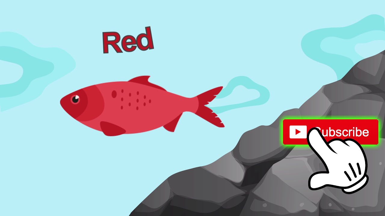 Learn colors with fishes | colors for kids - YouTube