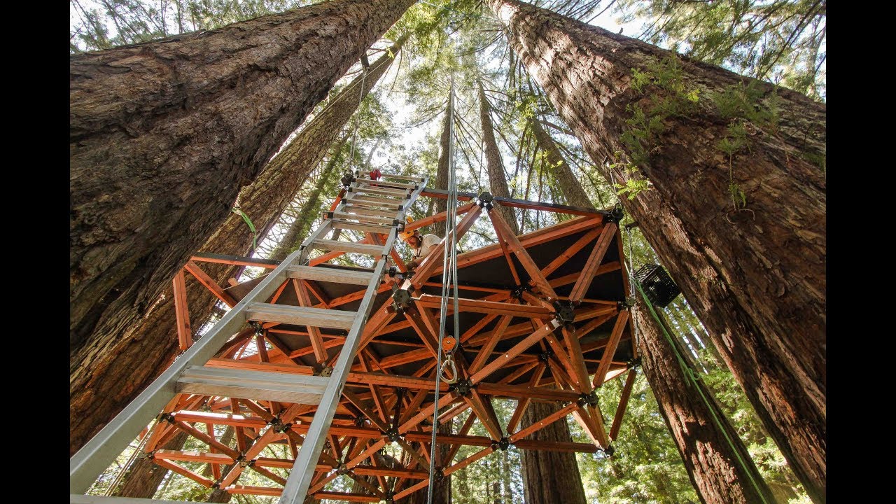 O2 Treehouse, Woodside, California - YouTube
