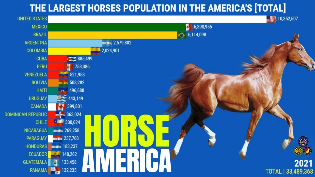 THE LARGEST HORSES POPULATION IN THE AMERICA S YouTube the-largest-horses-population-in-the-america-s-youtube