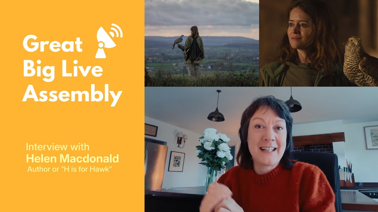 H is for Hawk - exclusive interview with author Helen MacDonald - YouTube