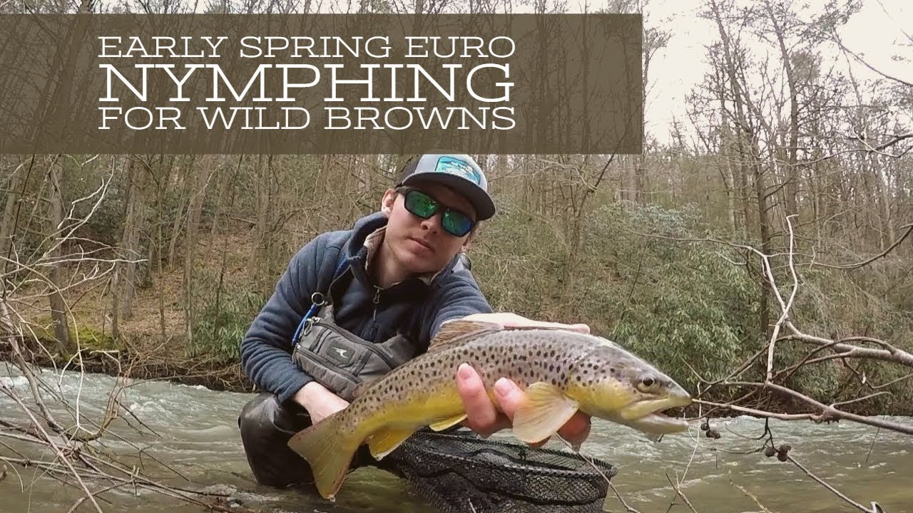 Early Spring Euro nymphing for Wild Browns - YouTube