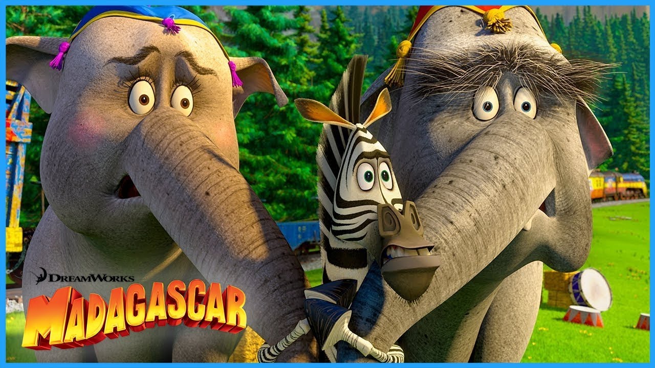 On the Run! 🏃 | DreamWorks Madagascar - YouTube